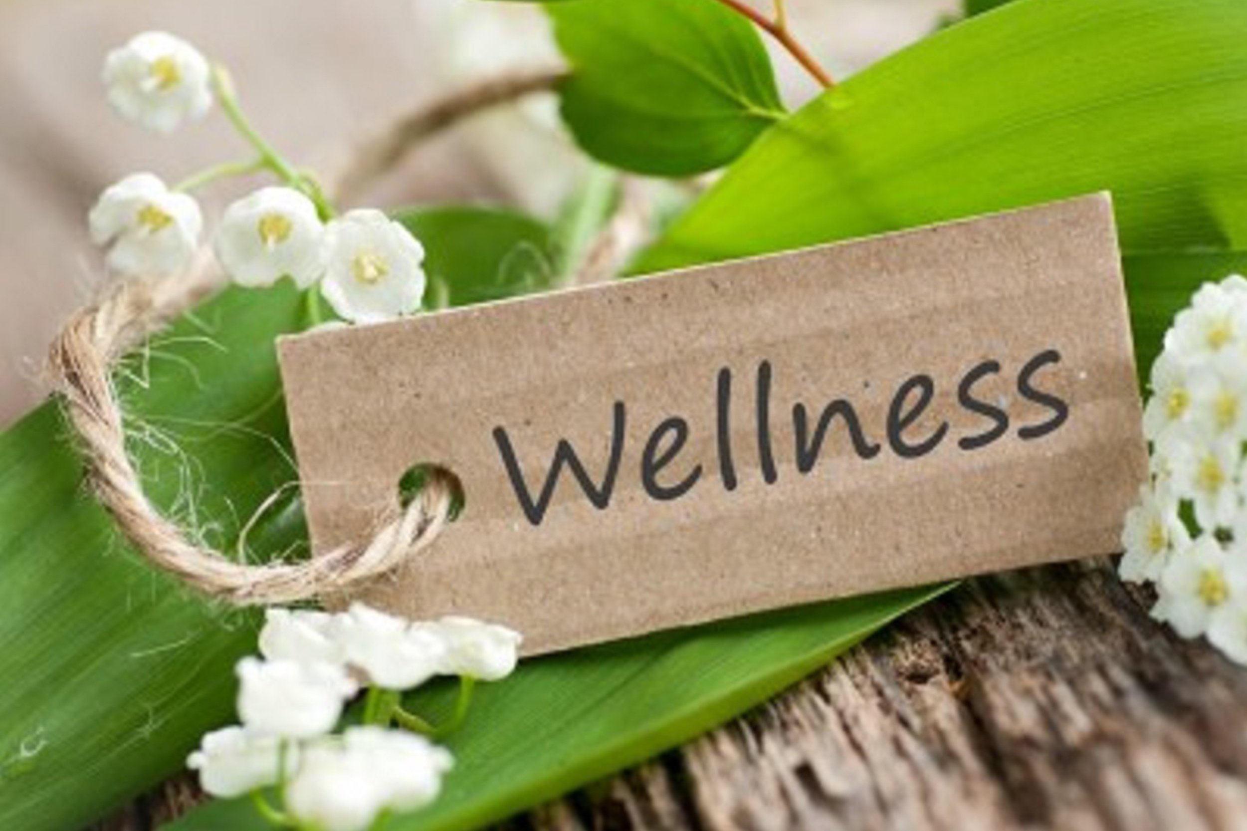 5 Keys To Making Your Wellness Program Successful 5 Keys To Making Your Wellness Program Successful